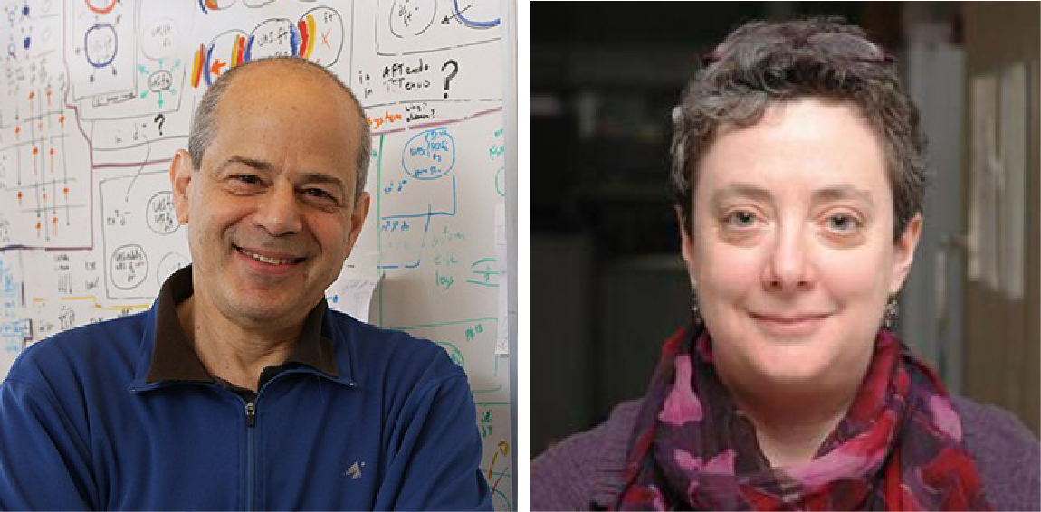 ZI Friday Funding Monthly Digest: Dr. Struhl won the Canada Gairdner ...